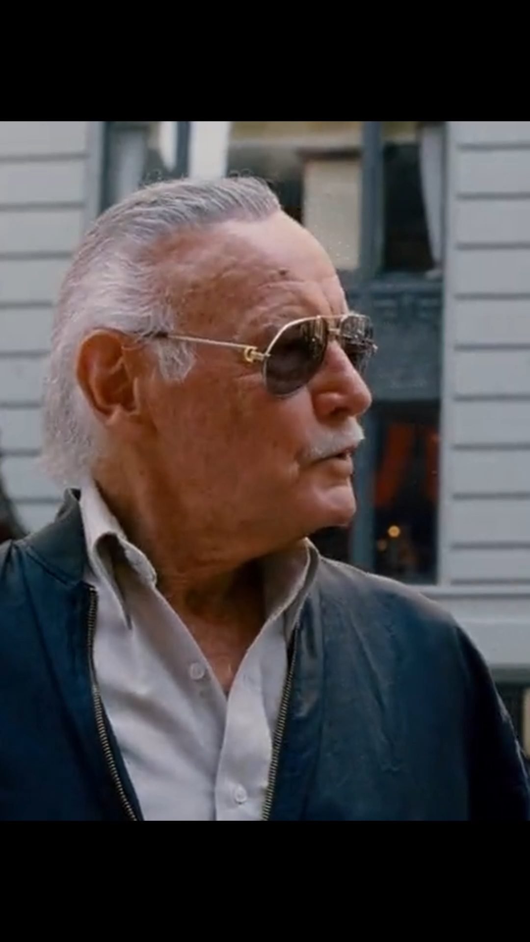 Spiderman3-stan-lee-cameo-poster – Thereviewstories
